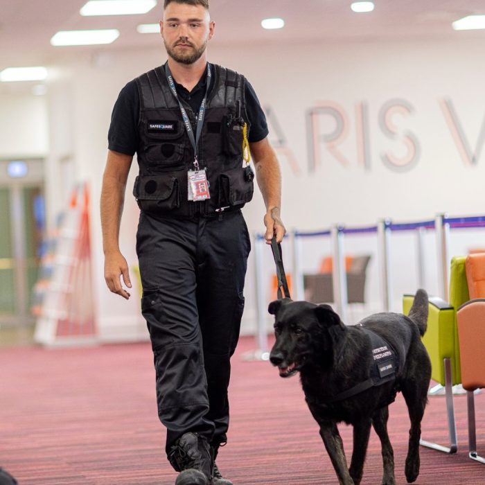 Inspection filtrage bagages en soute | Samsic aero